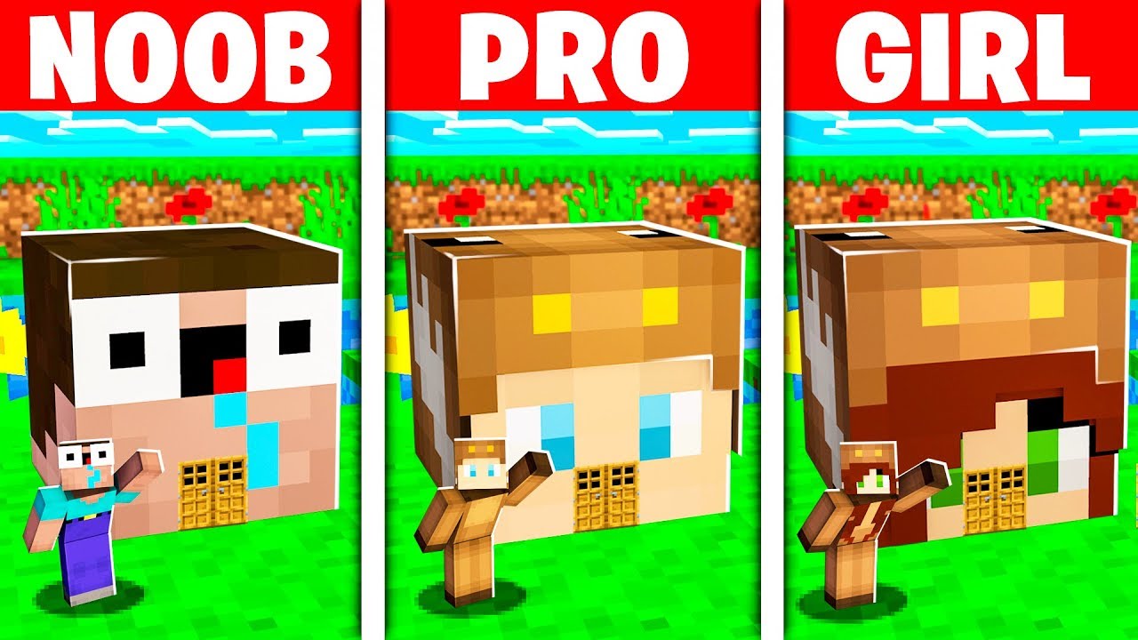 NOOB vs PRO vs GIRL FRIEND TINY MINECRAFT HOUSE BATTLE! (Build ...