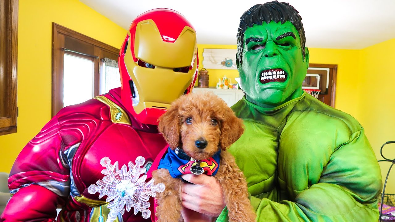Daisy the puppy SAVES Iron Man from Hulk! - YouTube