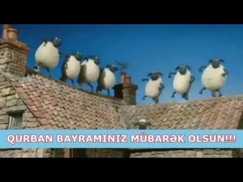 Qurban bayramı musiqisi