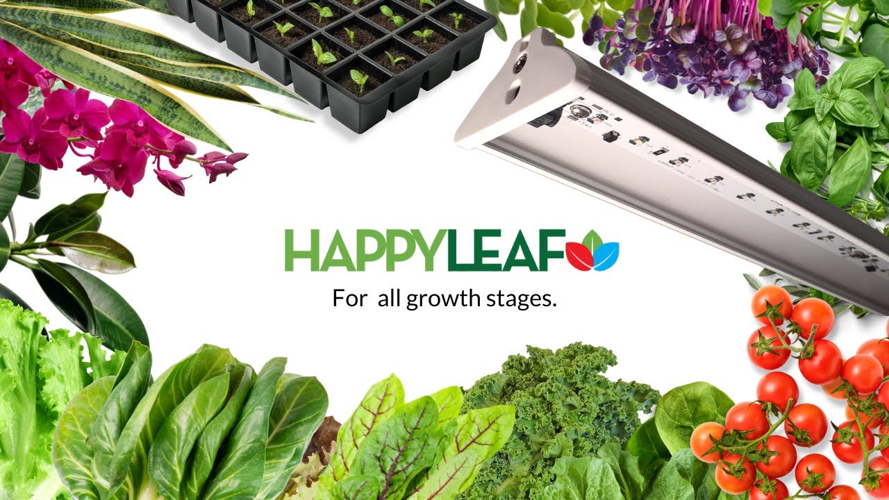 USA Made LED Grow Lights for Superior Indoor Gardening | Happy Leaf LED - YouTube