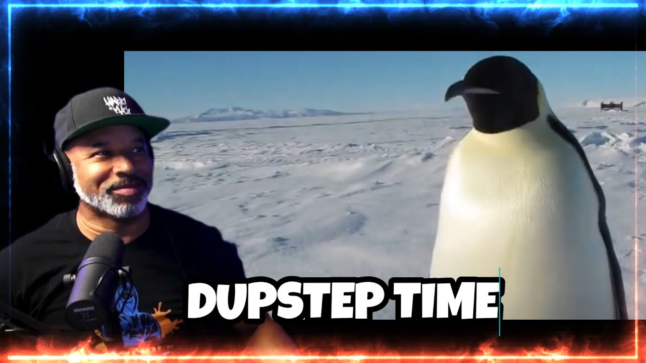 Emperor Likes Me (Dub Step Remix) - Producer REACTION - YouTube