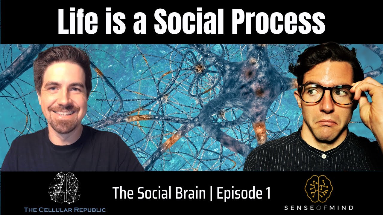 The Social Brain Ep.1: Life is a Social Process - YouTube