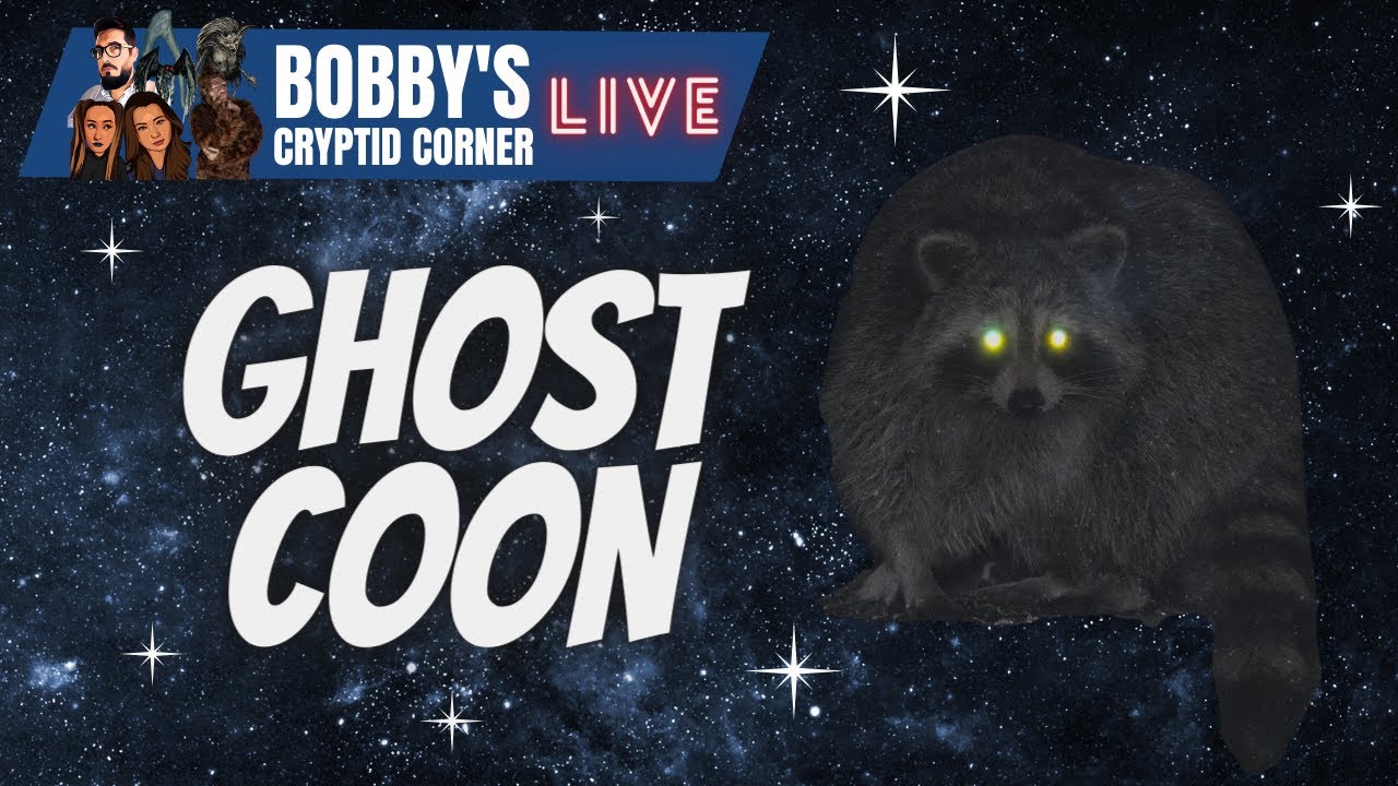 BOBBY'S CRYPTID CORNER - GHOST COON - YouTube