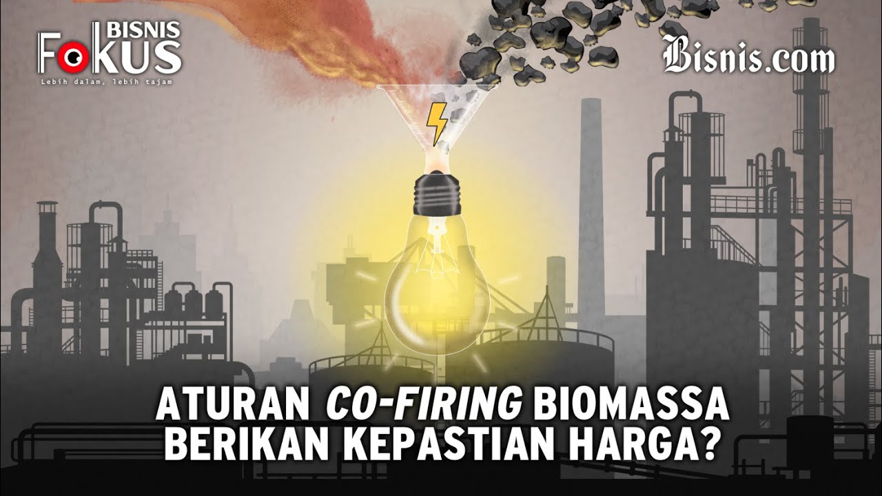 Co-firing Biomassa Lebih Realistis Daripada Pensiun Dini PLTU? - YouTube
