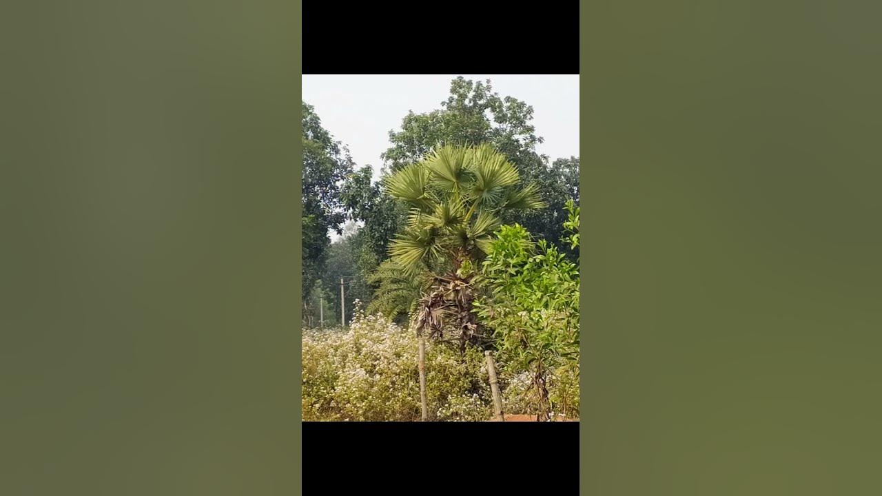 রাঙামাটির পথে। Youtube