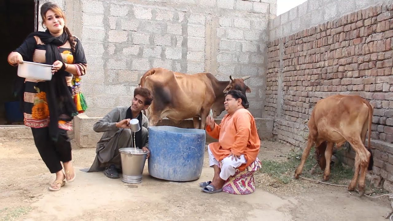 Wapari / Dood Ka Karobar / Full Comedy Pakistani Pothwari Drama By ...