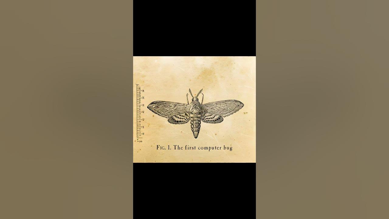 Computer scientist Grace Hopper documented the first "bug" in a ...