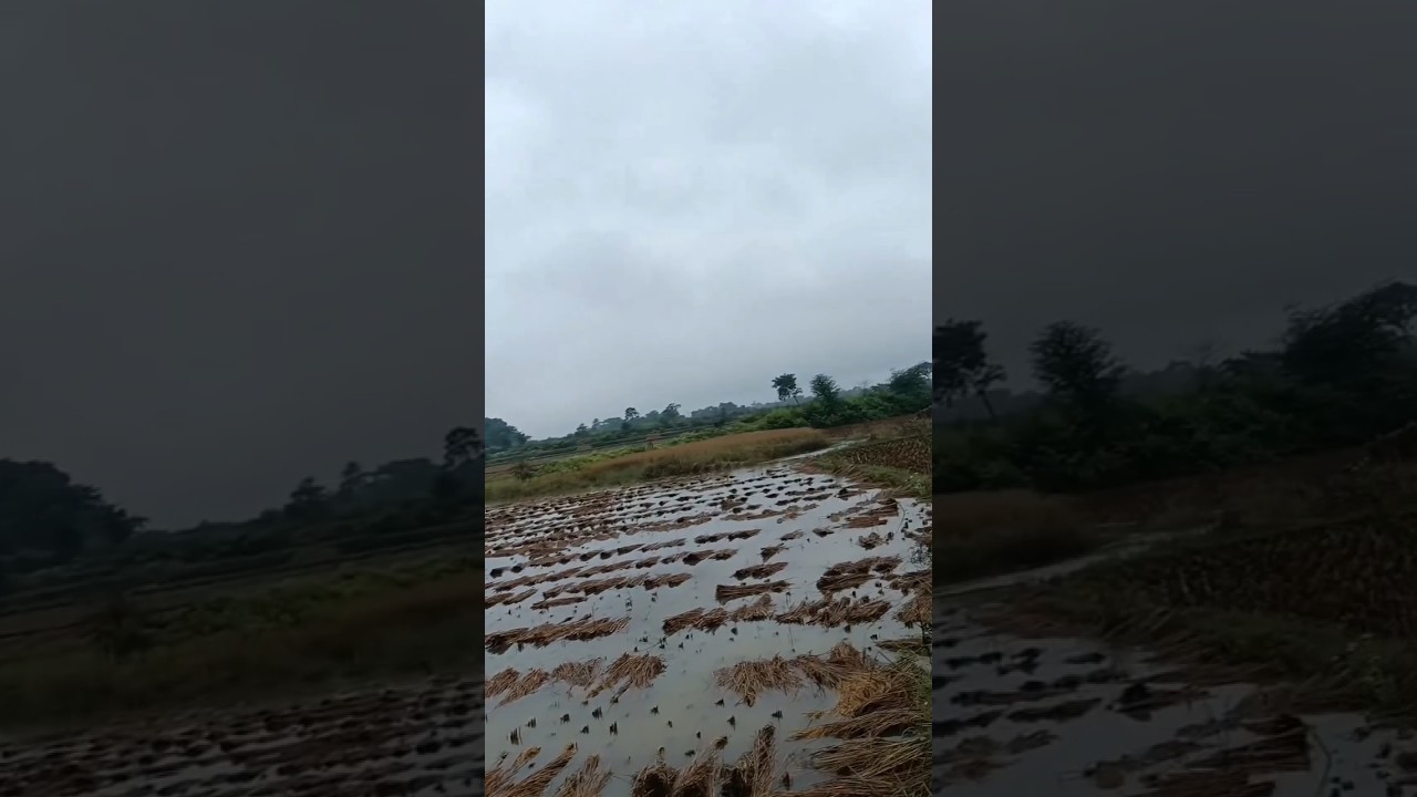 Rain💦 damaged so much - YouTube