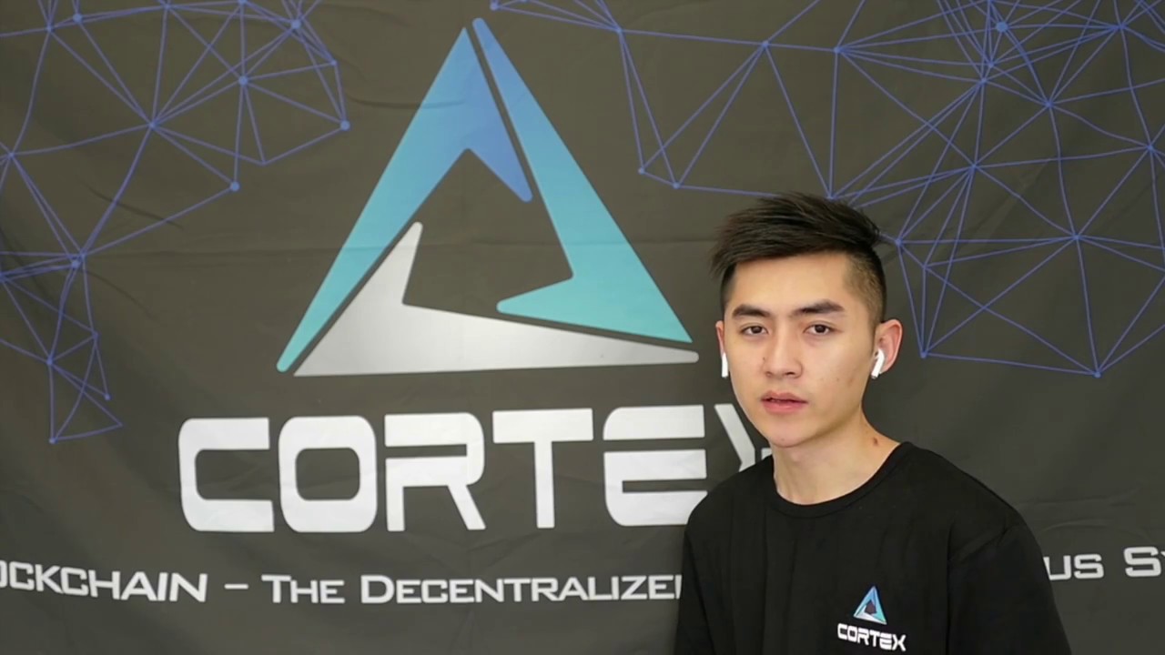 Cortex 概念验证模型讲解 - YouTube