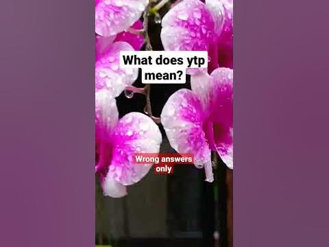 what does ytp mean? #shorts #trending - YouTube