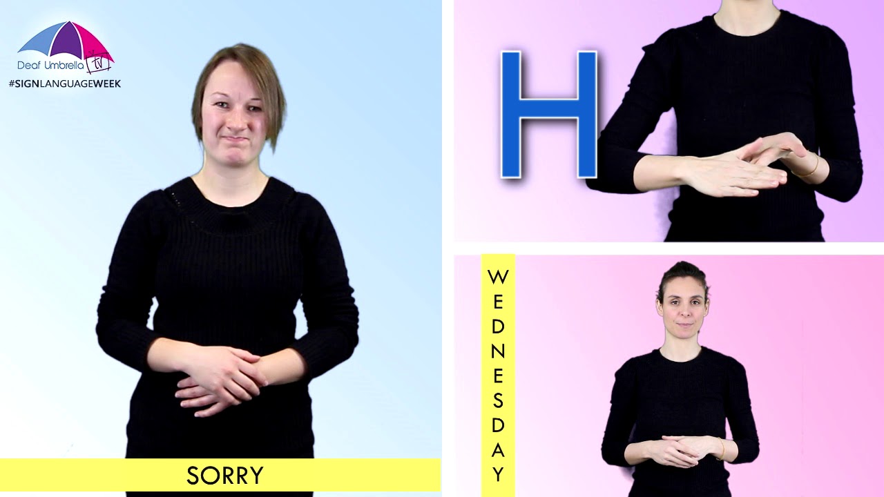 British Sign Language vocabulary: Meeting People II - YouTube