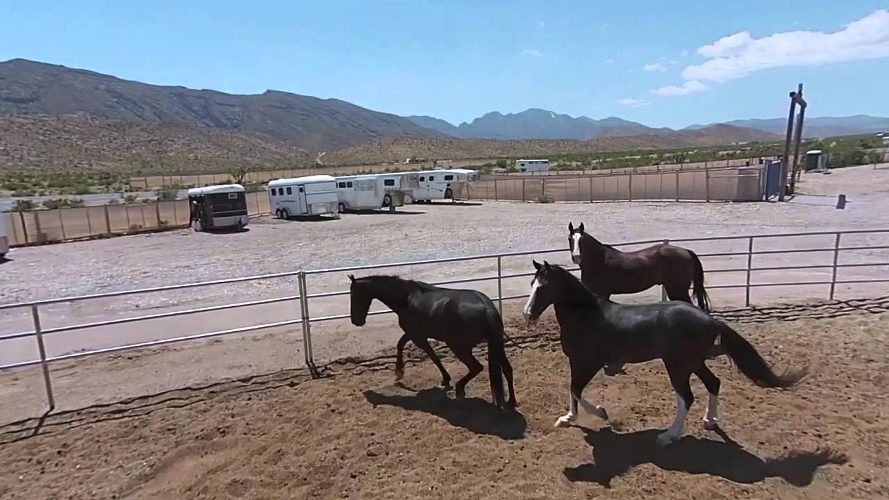 Rocking H Ranch - YouTube