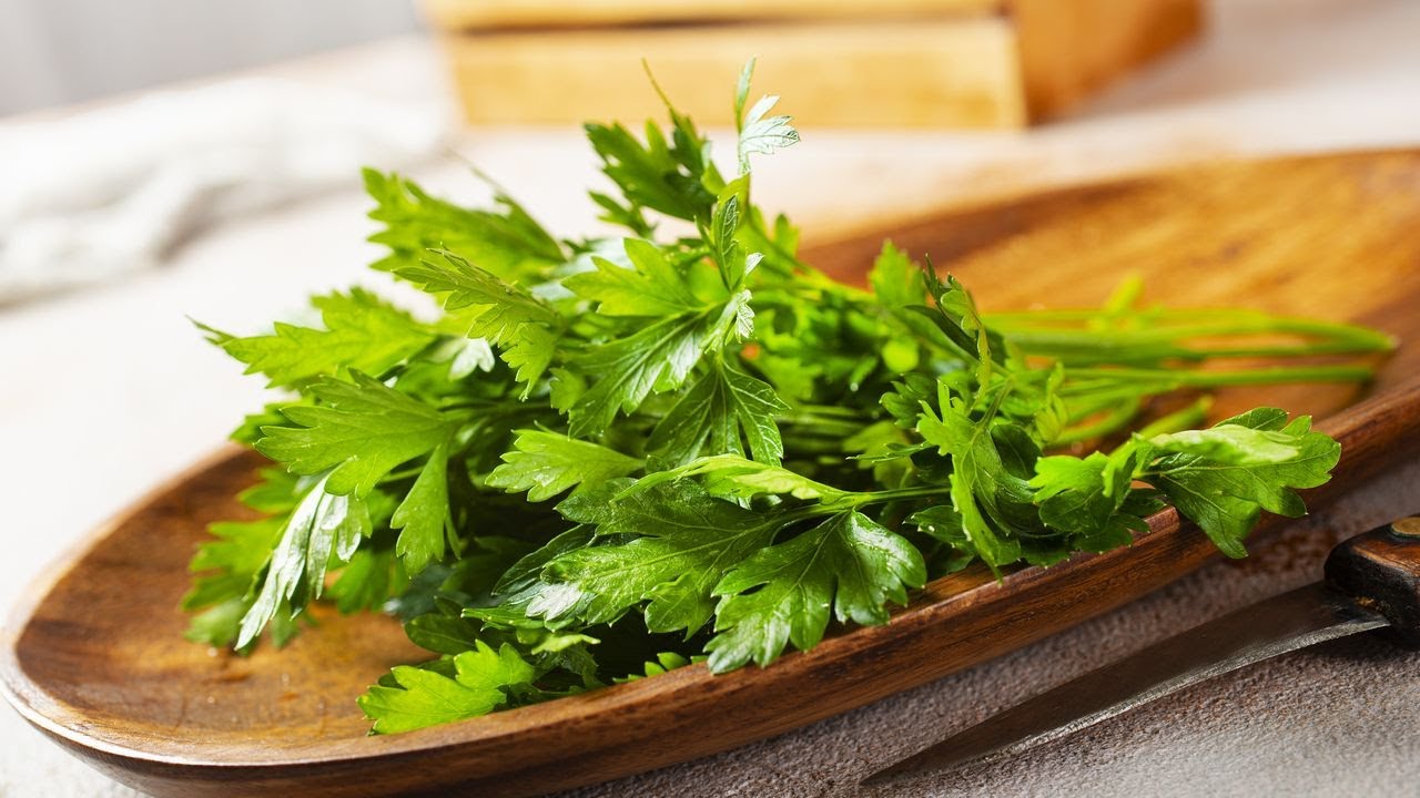 Petržel - bylinka s mnoha využitími a léčivými účinky - YouTube