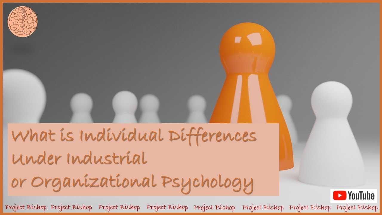 What is Individual Differences under Industrial or Organizational ...