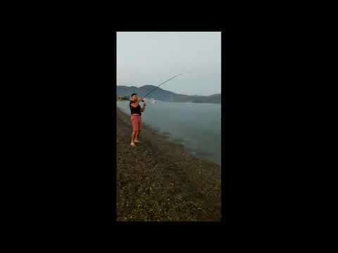 Kalama yakan yazılı orkinos ve suya iade ettiğimiz lahoz. Balık avı