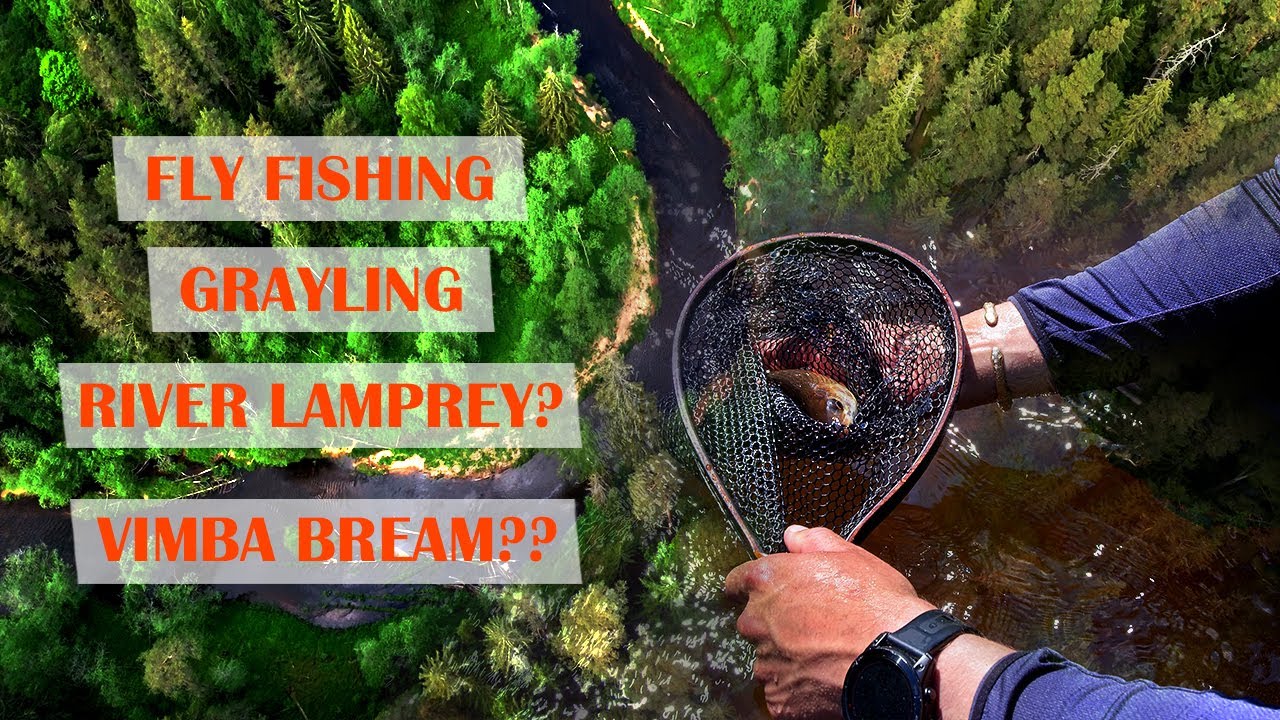Multiple Species Fly Fishing Adventure: Grayling, Vimba Bream & A ...