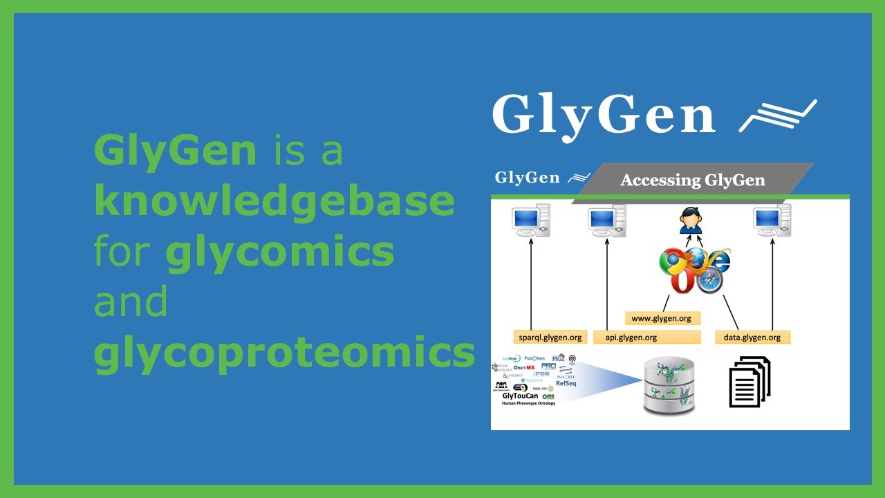 GlyGen - a knowledge base for glycomics and glycoproteomics at Warren ...
