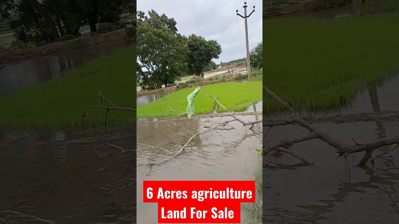 6 Acres agriculture Land For Sale// Contact..,9347758388 - YouTube