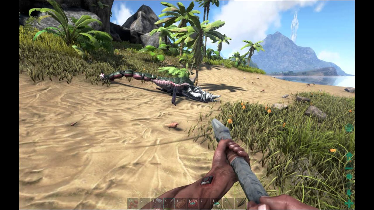 Ark survival evolved beach patrol - YouTube