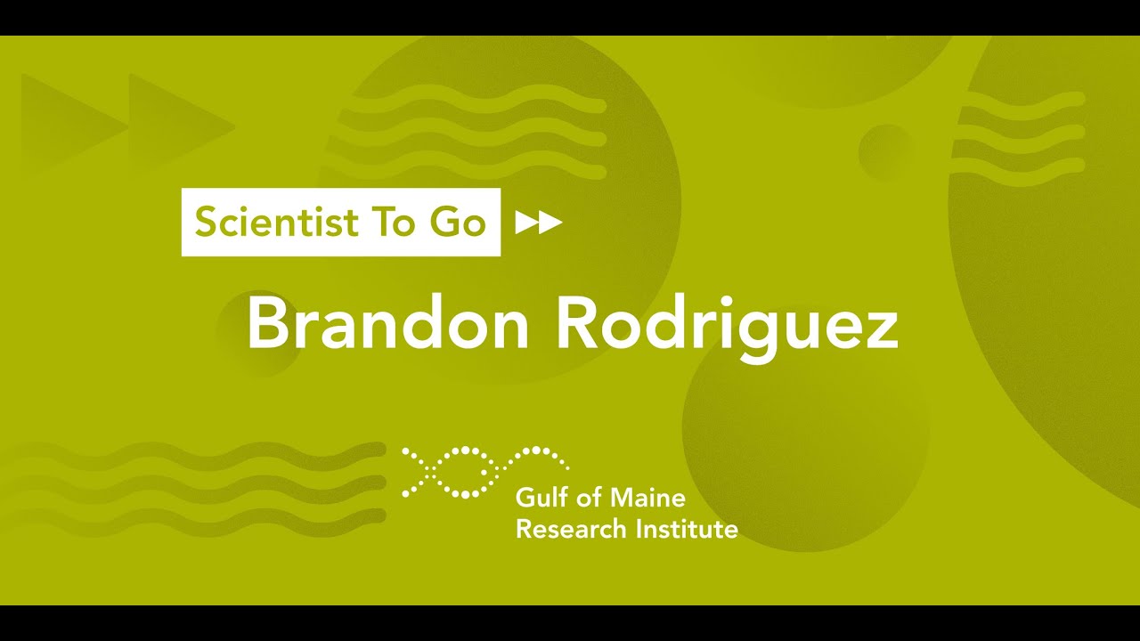 Scientist To Go with Brandon Rodriguez - YouTube