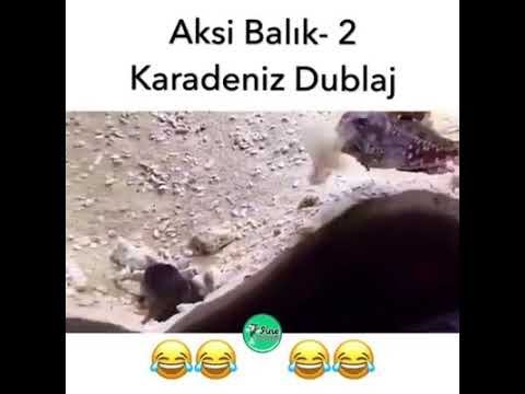 GÜLMEYENE PARASI İADE!! En Komik Tiktok Ve Karışık videolar