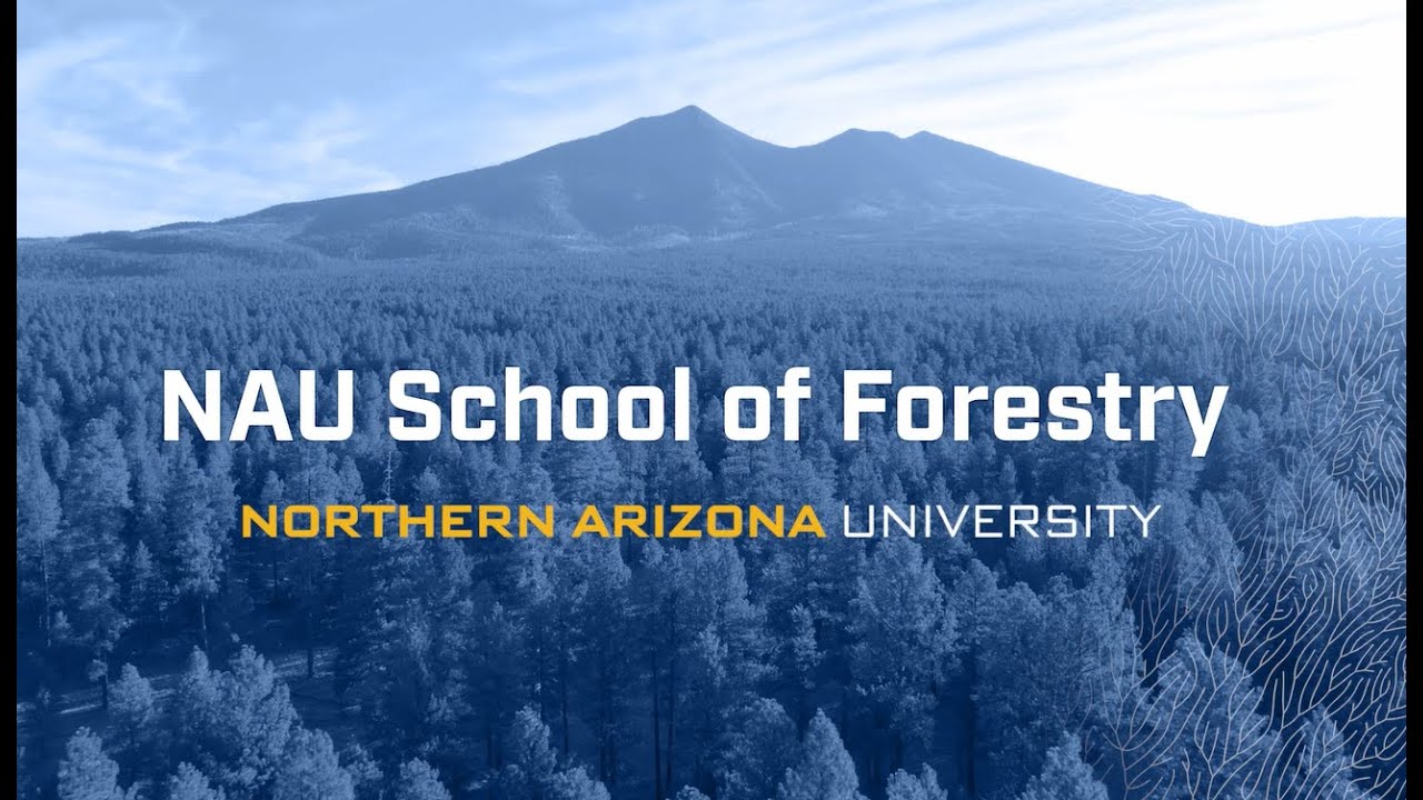 NAU School of Forestry - YouTube