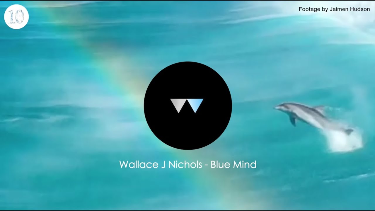 Blue Mind, Dr. Wallace J. Nichols - YouTube