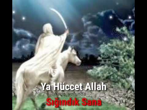 Ya Mehdi