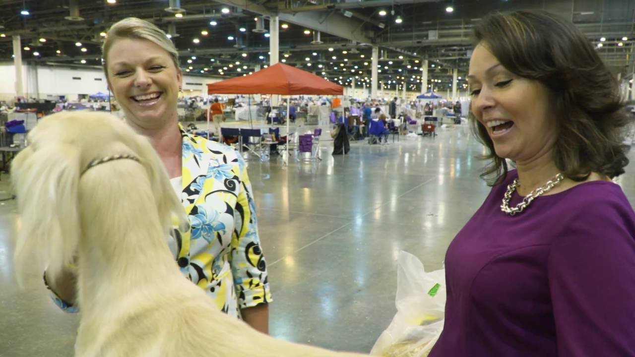 Road to Westminster (RTW): Meet Pro Dog Handler Emma Marshall - YouTube