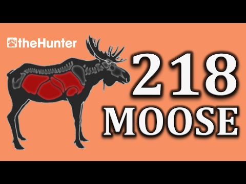 Moose scoring 218 - theHunter Classic - YouTube