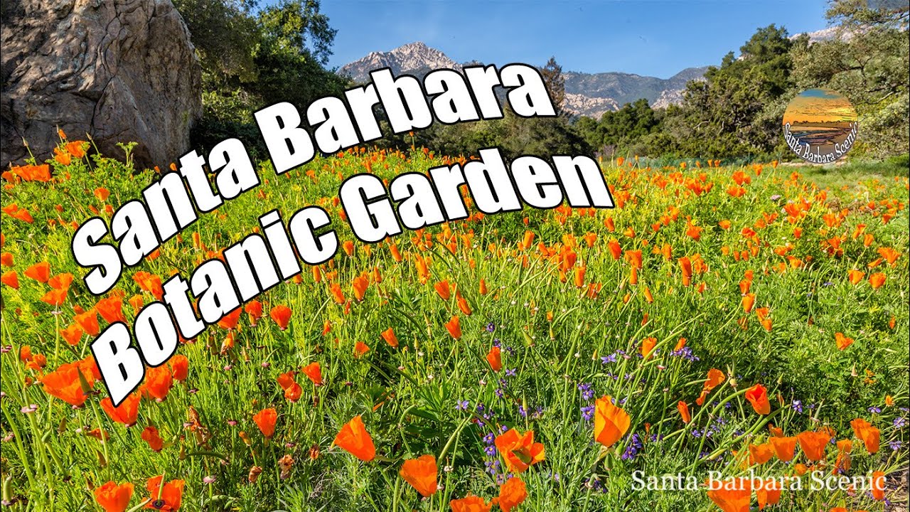 Santa Barbara Botanic Garden - YouTube