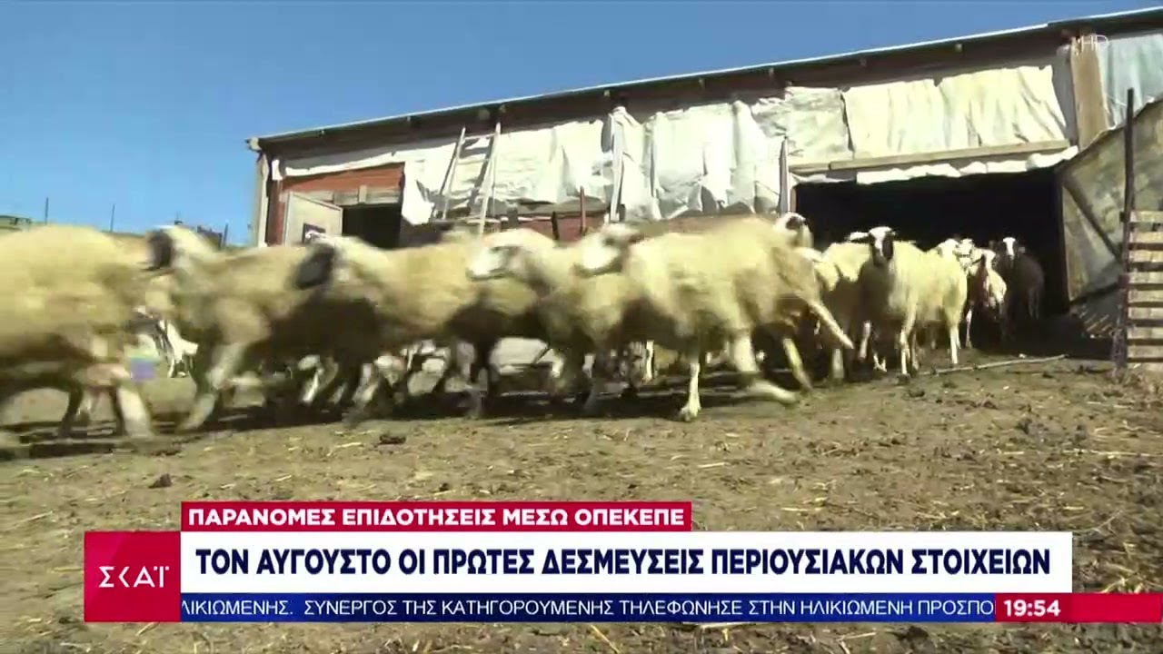 ΟΠΕΚΕΠΕ: Νέες καταγγελίες και παράνομες επιδοτήσεις | Ειδήσεις Βραδινό ...