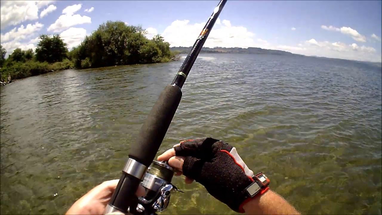 NEW ZEALAND TROUT FISHING AWAHOU SUNBURN CITY - YouTube