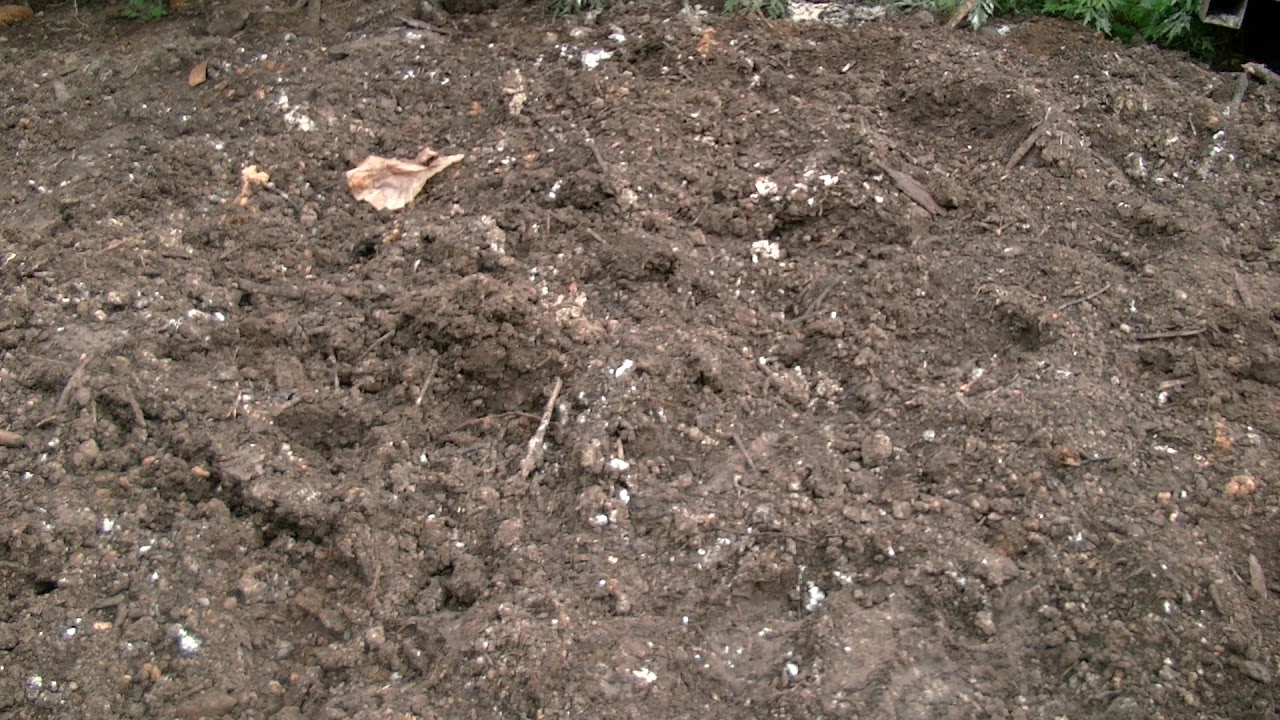 4 Compost Side Dressing - YouTube