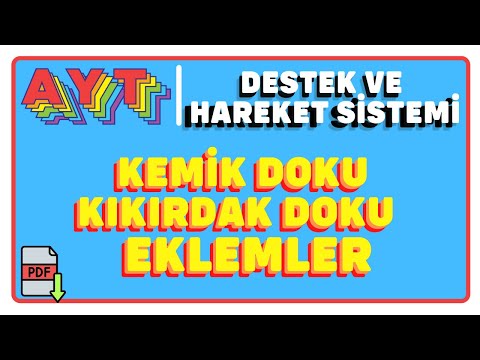 Kemik Doku - Kıkırdak Doku - Eklemler | Destek ve Hareket Sistemi | AYT Biyoloji