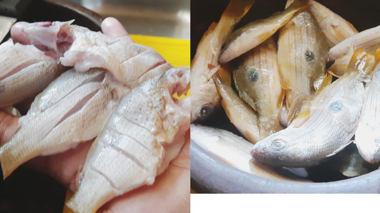 Eari fish cleaning // Fish cleaning Malayalam// ഏരി മീൻ ക്ലീനിങ് - YouTube