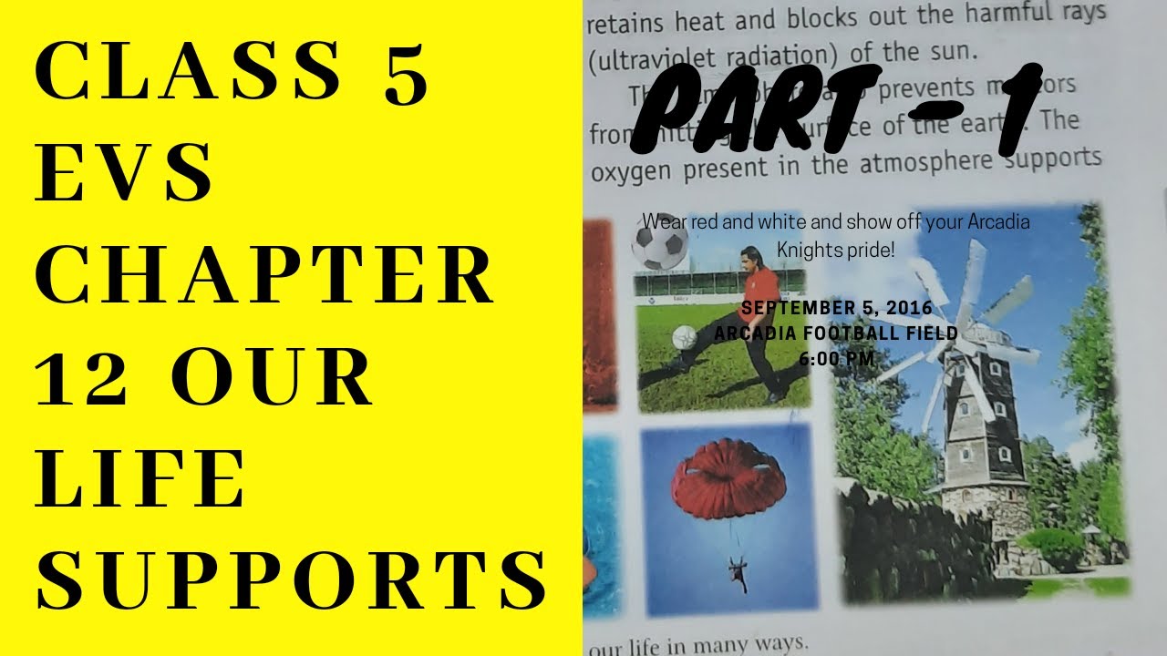CLASS 5 EVS CHAPTER 12 OUR LIFE SUPPORTS - YouTube