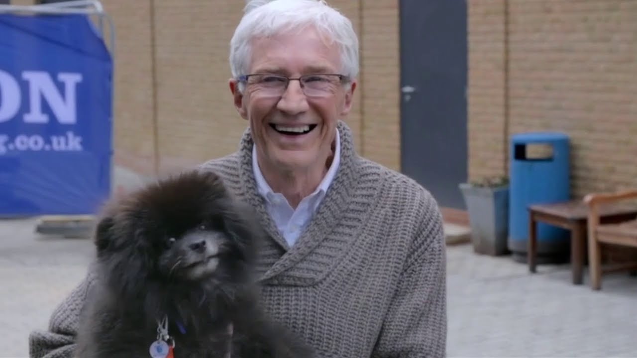 Paul O'Grady: For the Love of Dogs S010E03 Full Episode HD - YouTube