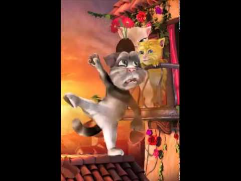 Tom ve Angela Arapça