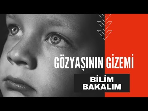 Gözyaşı, Seks Hormonları ve Gözyaşı Bankası