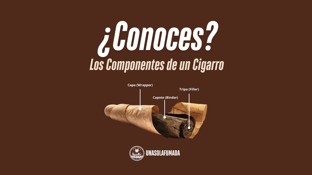 COMPONENTES DE UN CIGARRO - YouTube
