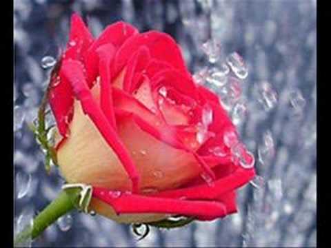 grup KORİDOR--anemi--UGUR--