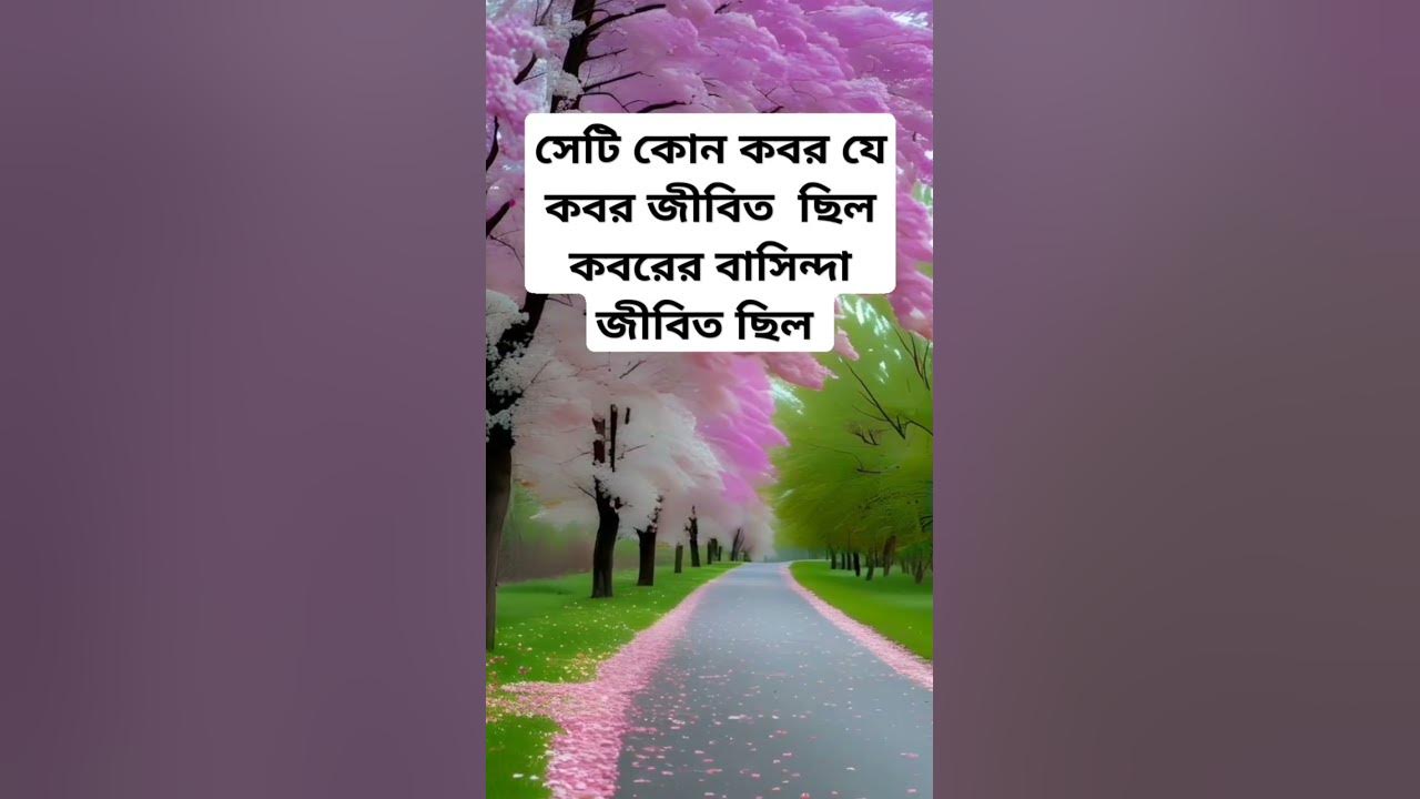 সেটি কোন কবর যে কবর জীবিত ছিল কবরের বাসিন্দা জীবিত ছিল Interestingfacts Amazing Ghost