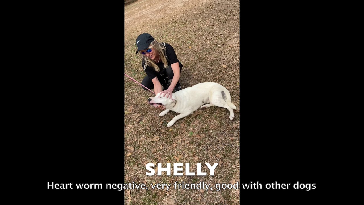 Meet Shelly - YouTube