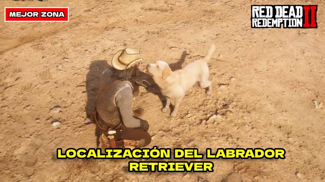 Localización Labrador Retriever | Mejor Zona | Red Dead Redemption 2 ...