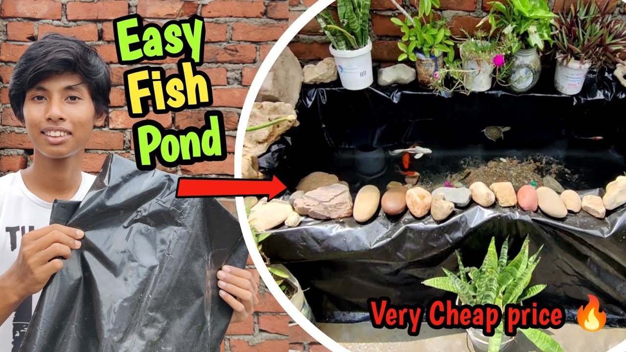 Making beautiful Fish Pond At Terrace 🤩 in Very low price - YouTube