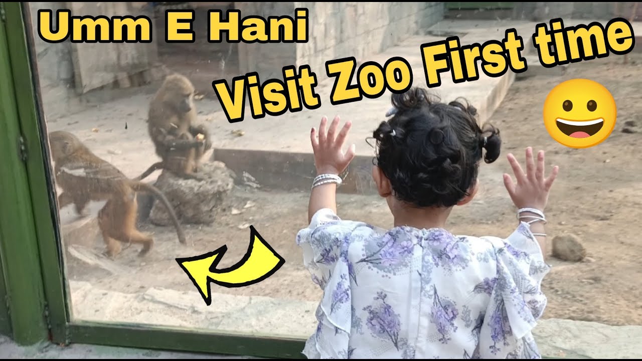 Umm e Hani visit the Zoo for the first time 🤩 Umm e Hani first Vlog 😊 - YouTube