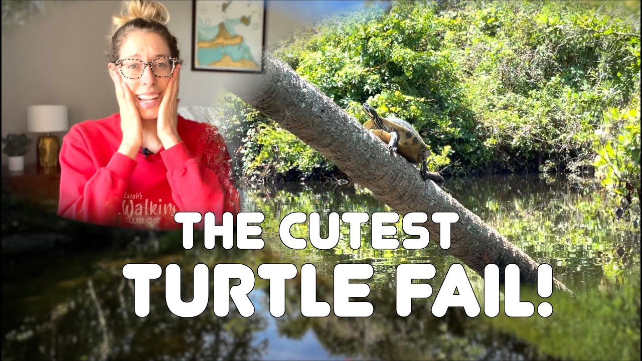 CUTEST TURTLE FAIL | Little Manatee River | Hillsborough County | WATCH ...