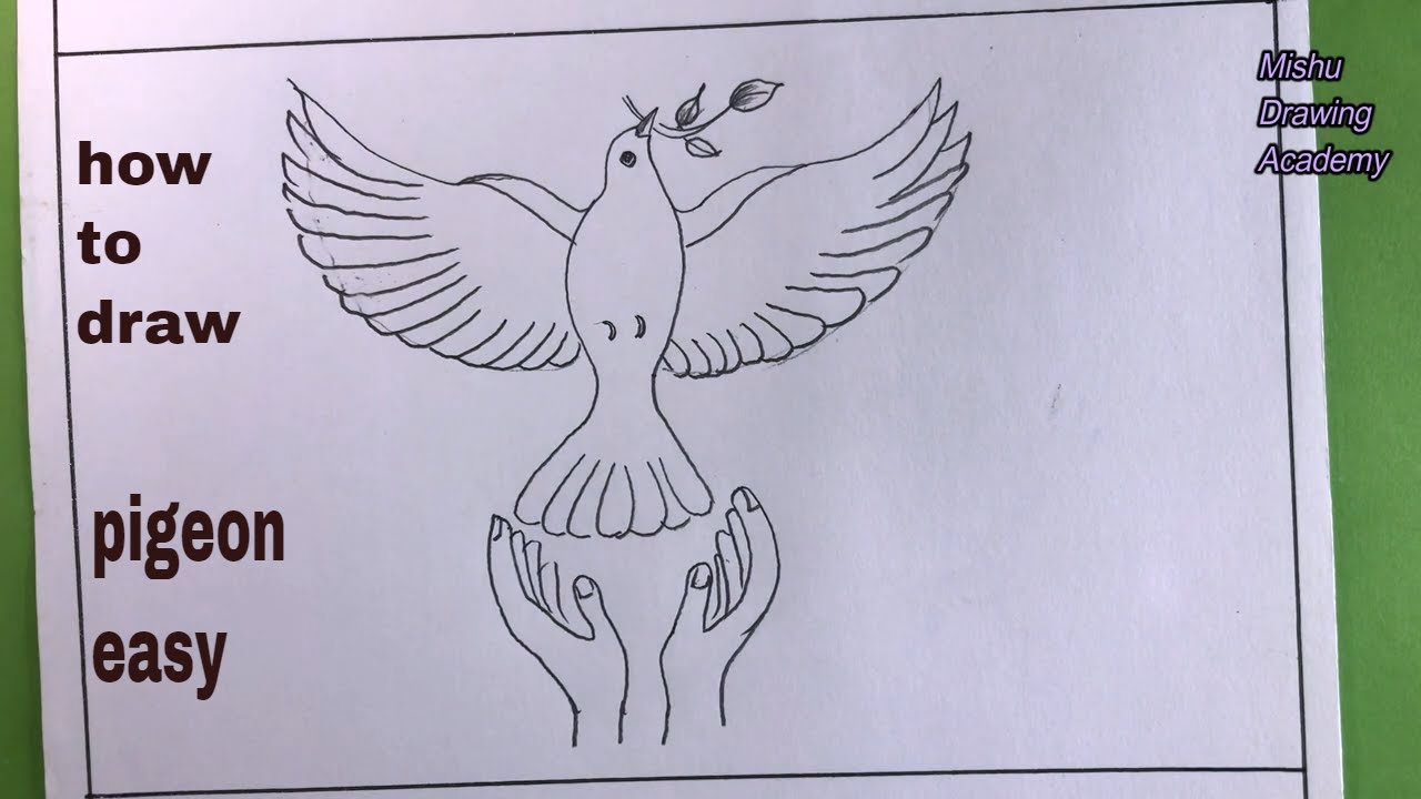How TO Draw Flying Pigeon Easy pigeon Drawing YouTube how-to-draw-flying-pigeon-easy-pigeon-drawing-youtube