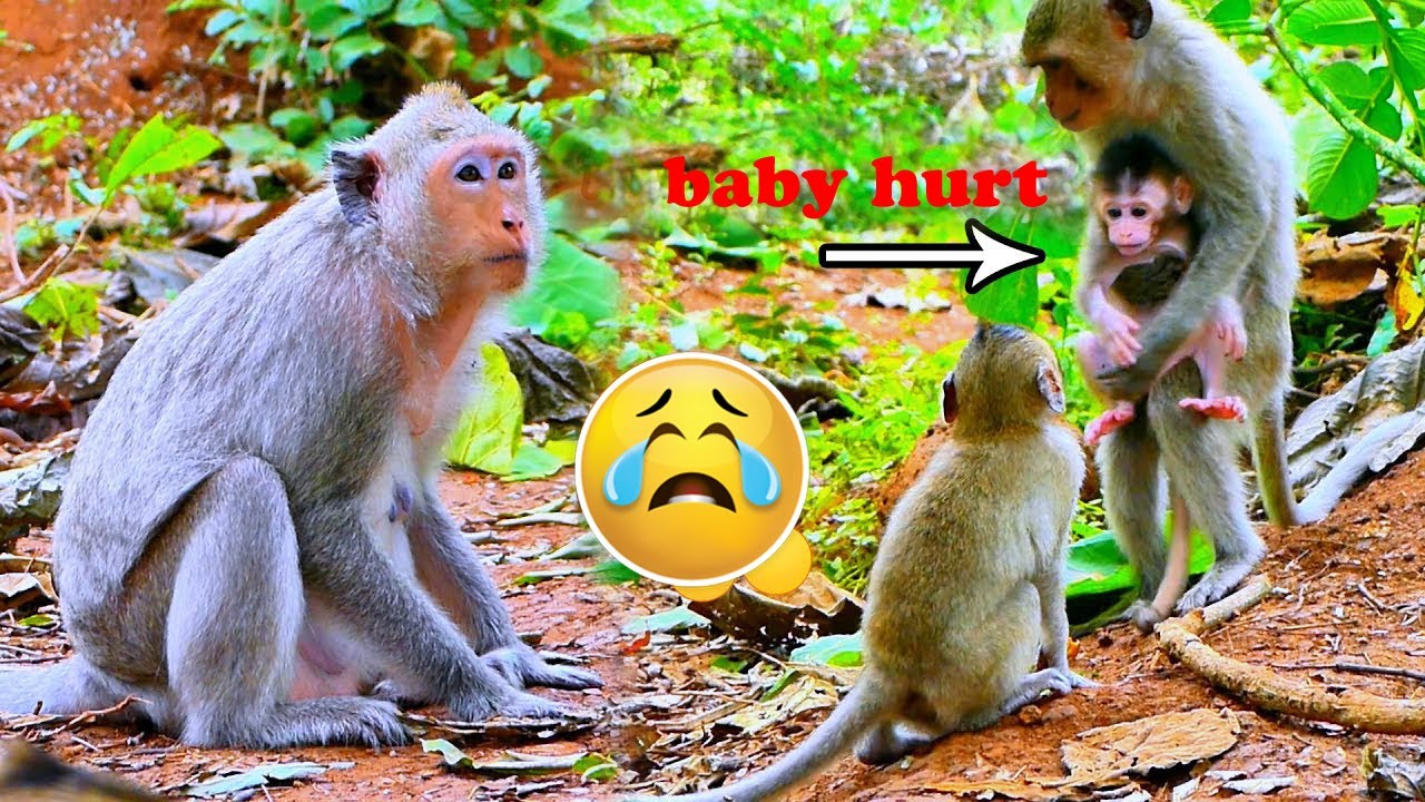 God Help Momma Is Tying To Pick Her Baby To Run Away From Older Sister god-help-momma-is-tying-to-pick-her-baby-to-run-away-from-older-sister